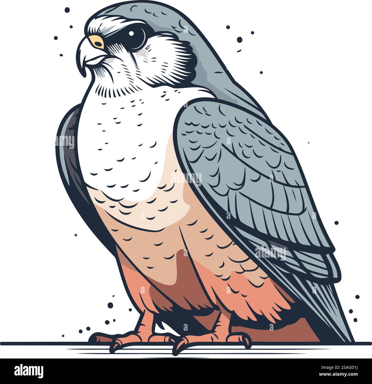 Peregrine falcon on white background. Vector illustration Stock Vector ...