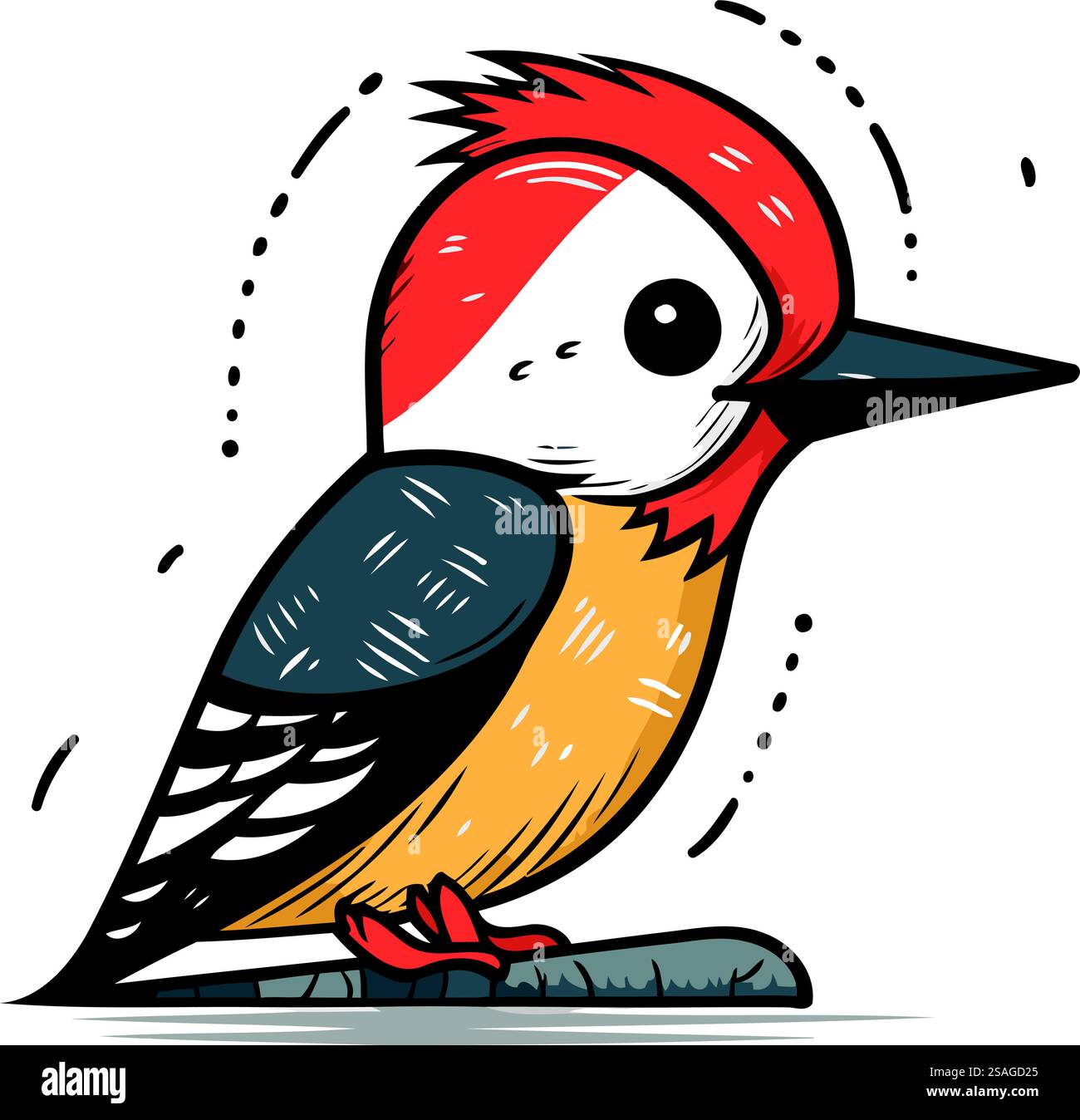 Hand drawn vector illustration of cute cartoon red headed woodpecker ...