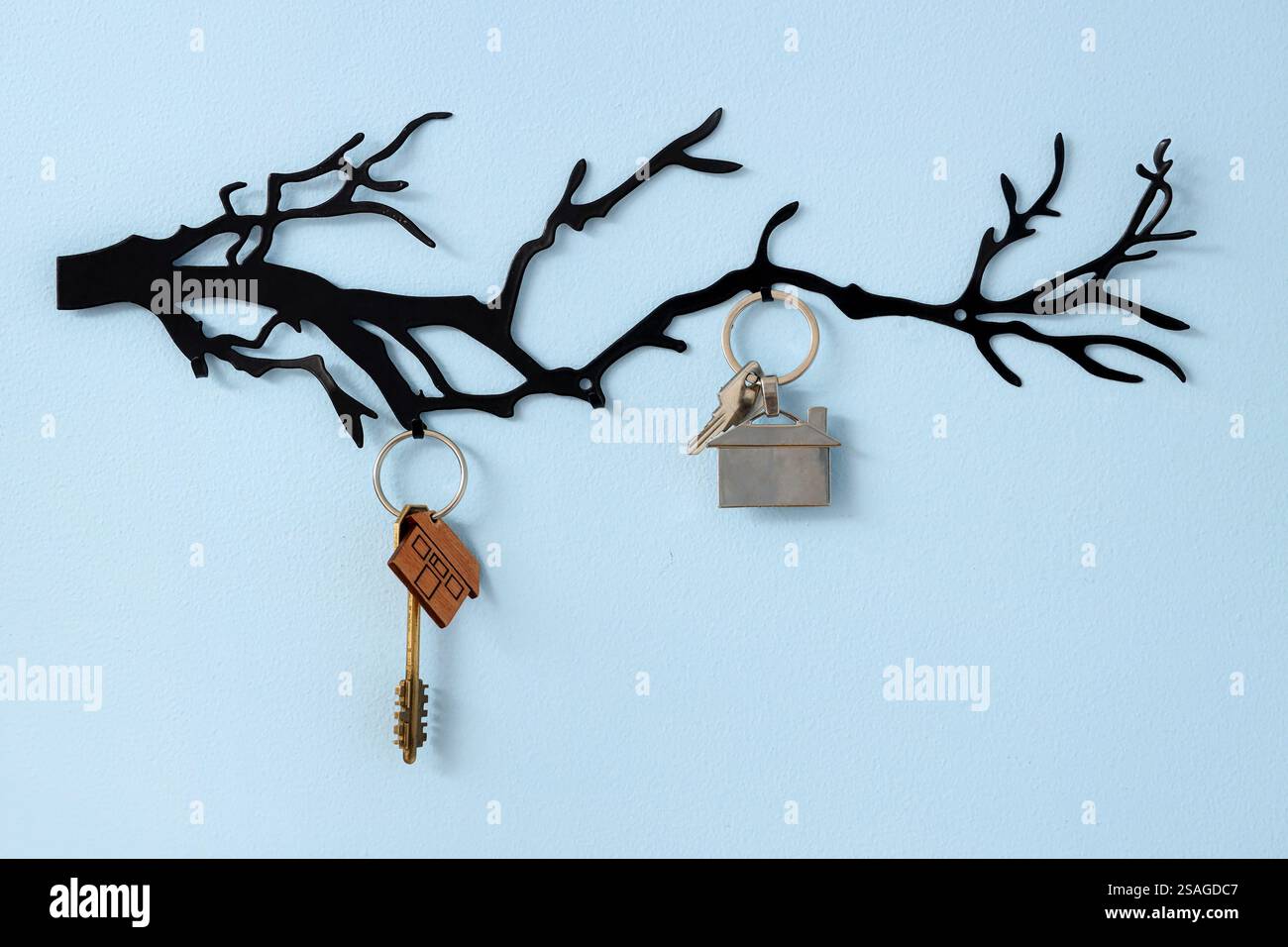 Stylish key holder in shape of branch hanging on blue wall Stock Photo ...