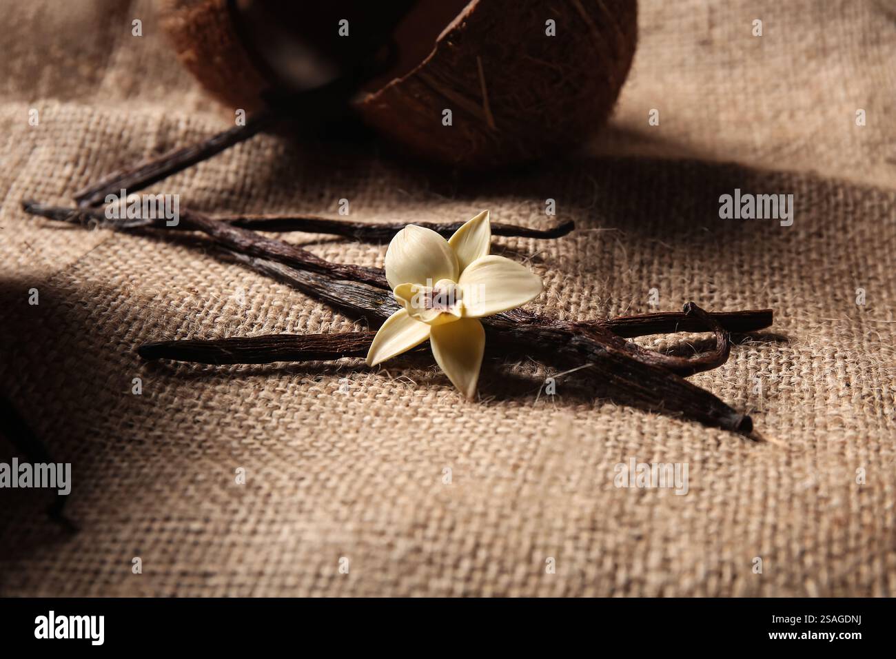 Aromatic vanilla sticks, flower and coconut shells on burlap fabric ...
