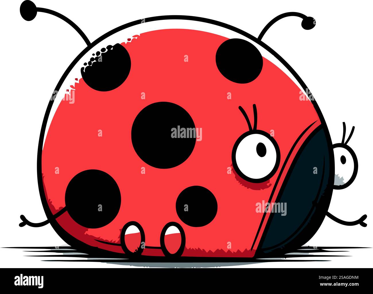 Cute ladybug cartoon character. Vector illustration isolated on white ...