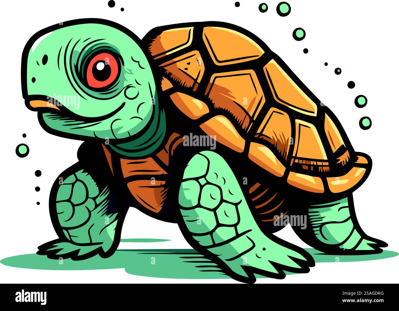 Turtle vector illustration. Cartoon style. Isolated on white background ...