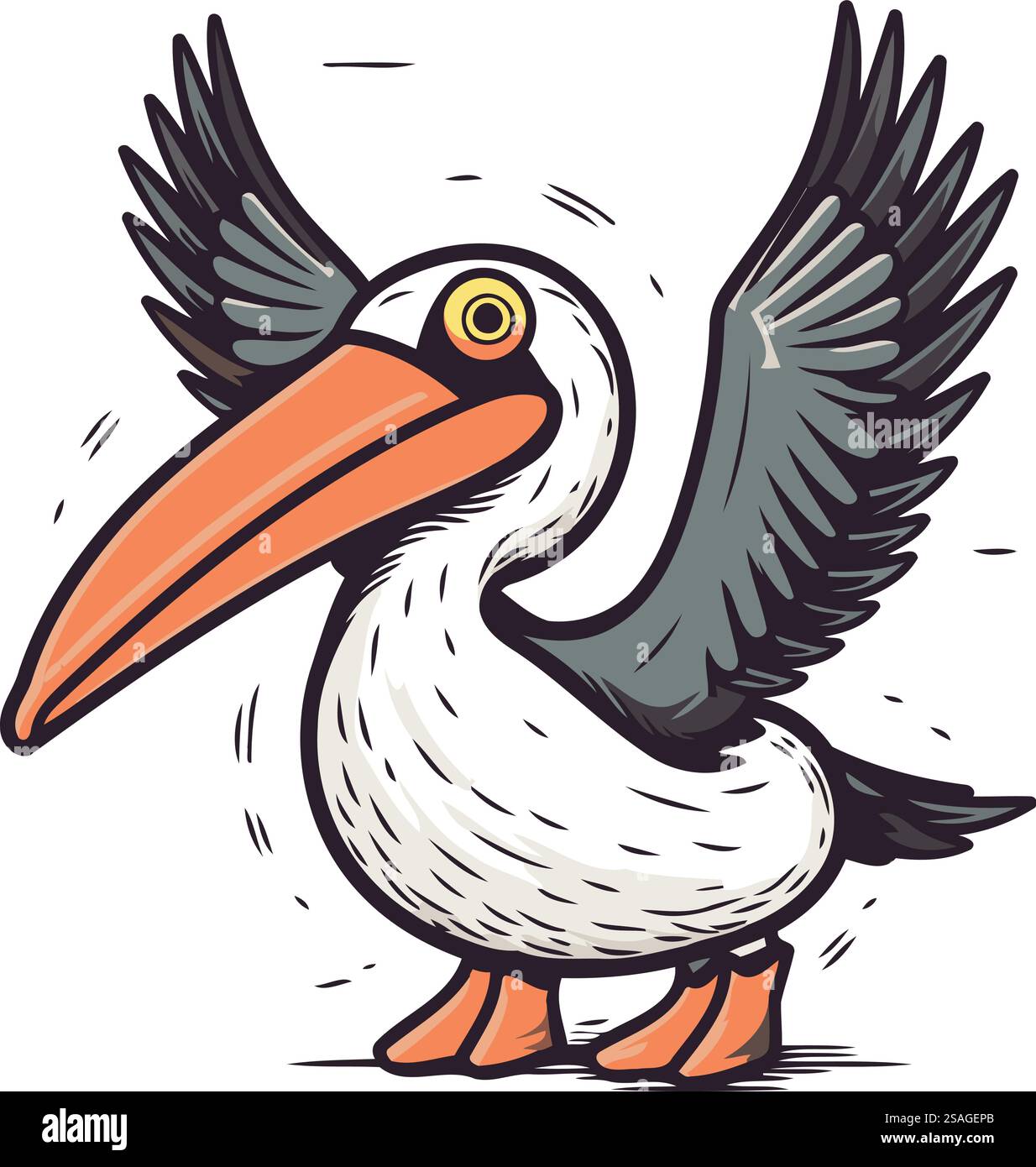 Pelican. Vector illustration of a pelican with wings spread Stock ...