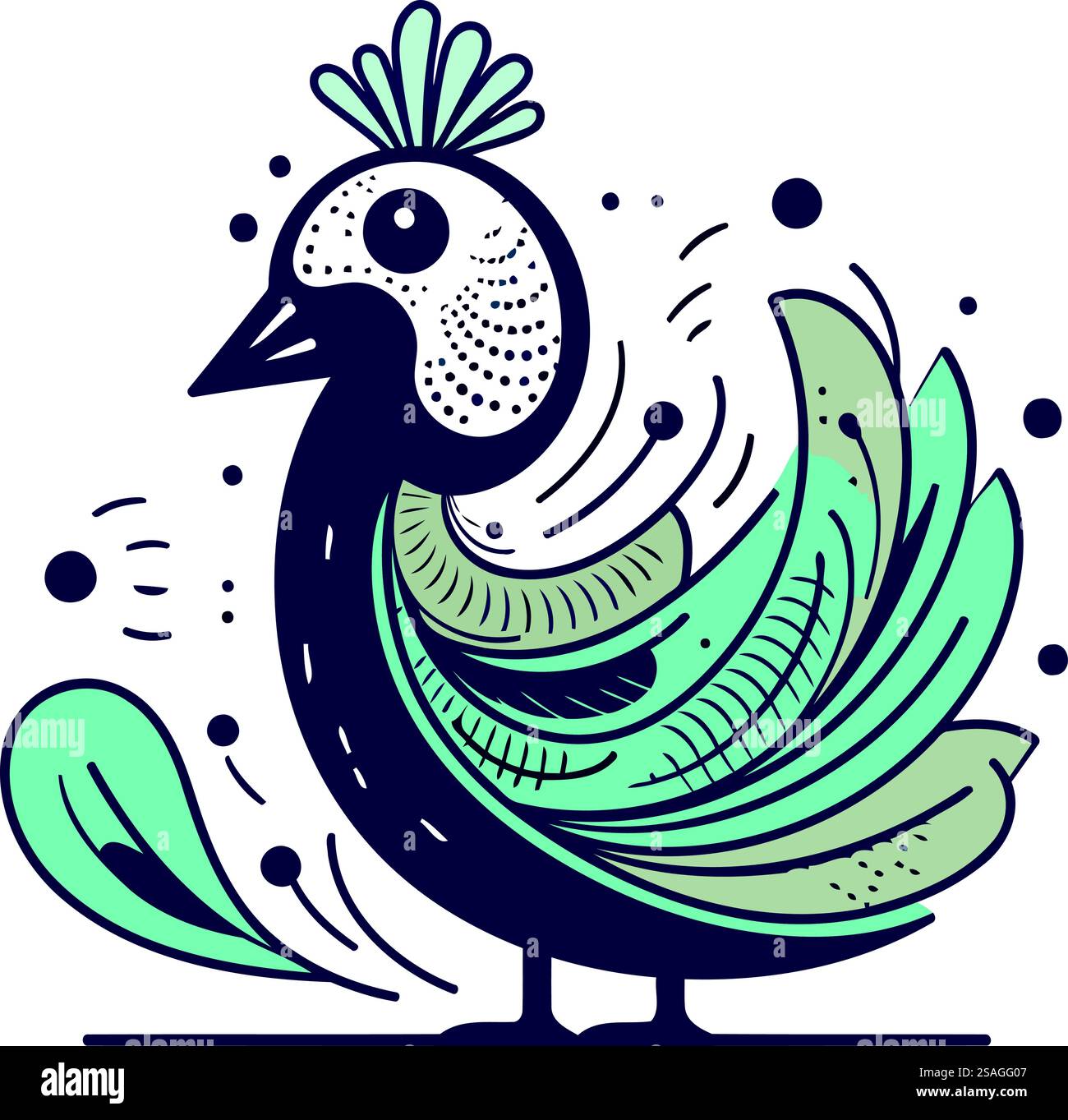 Peacock vector illustration. Isolated peacock on white background Stock ...