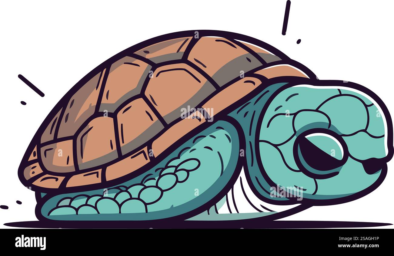 Cartoon turtle. Vector illustration. Isolated on white background Stock ...