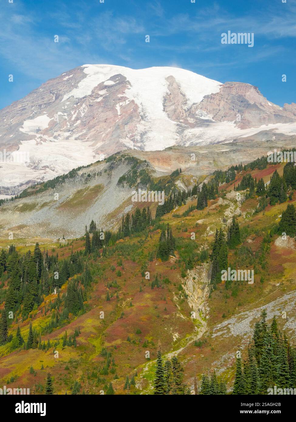 USA, Washington State, Mount Rainier National Park. Mount Rainier and ...