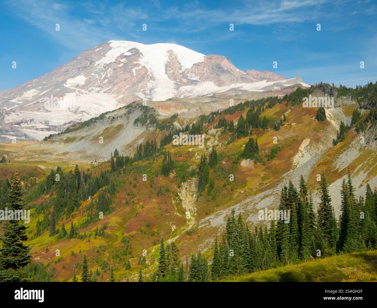 USA, Washington State, Mount Rainier National Park. Mount Rainier and ...