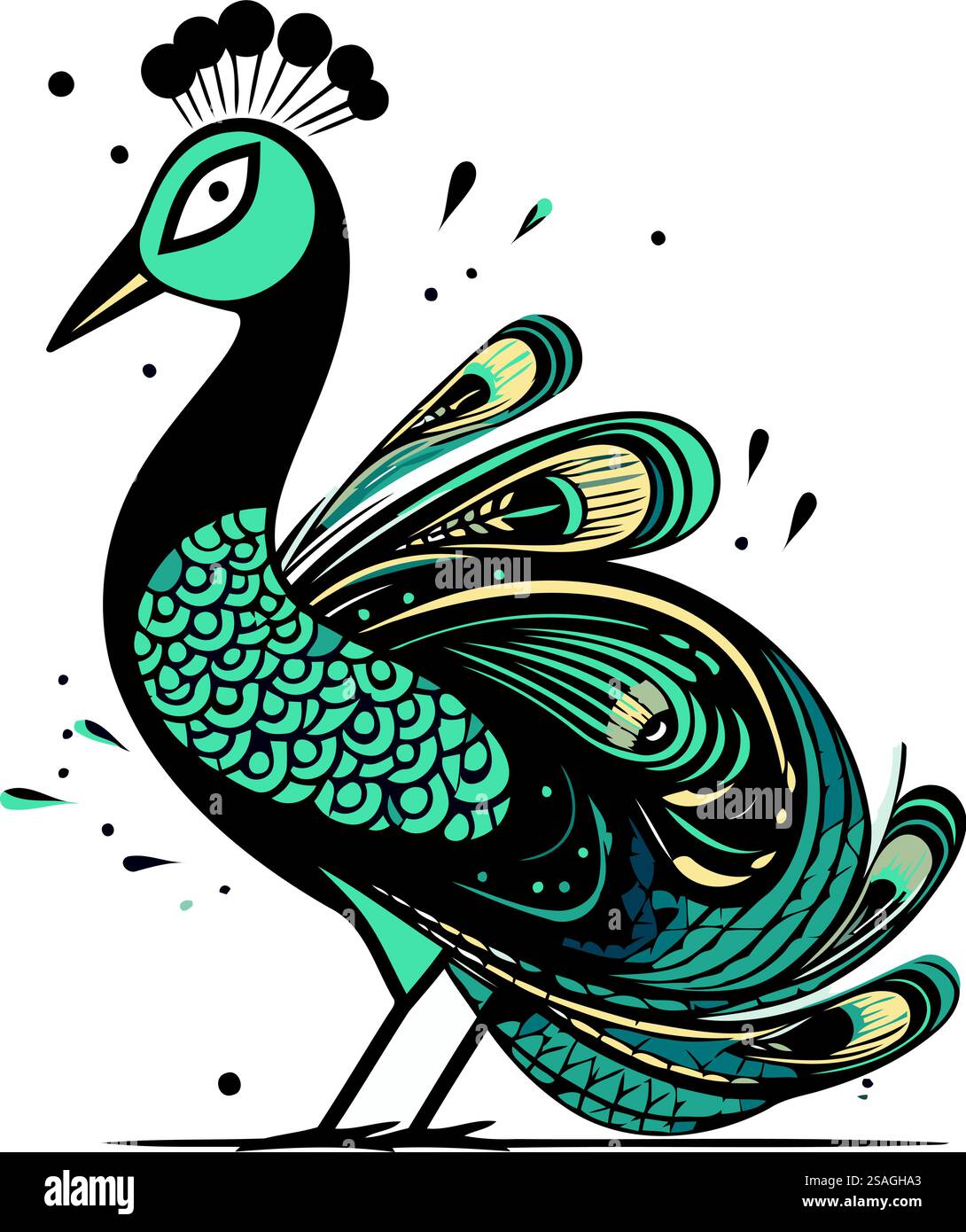 Peacock. Hand drawn vector illustration isolated on white background ...
