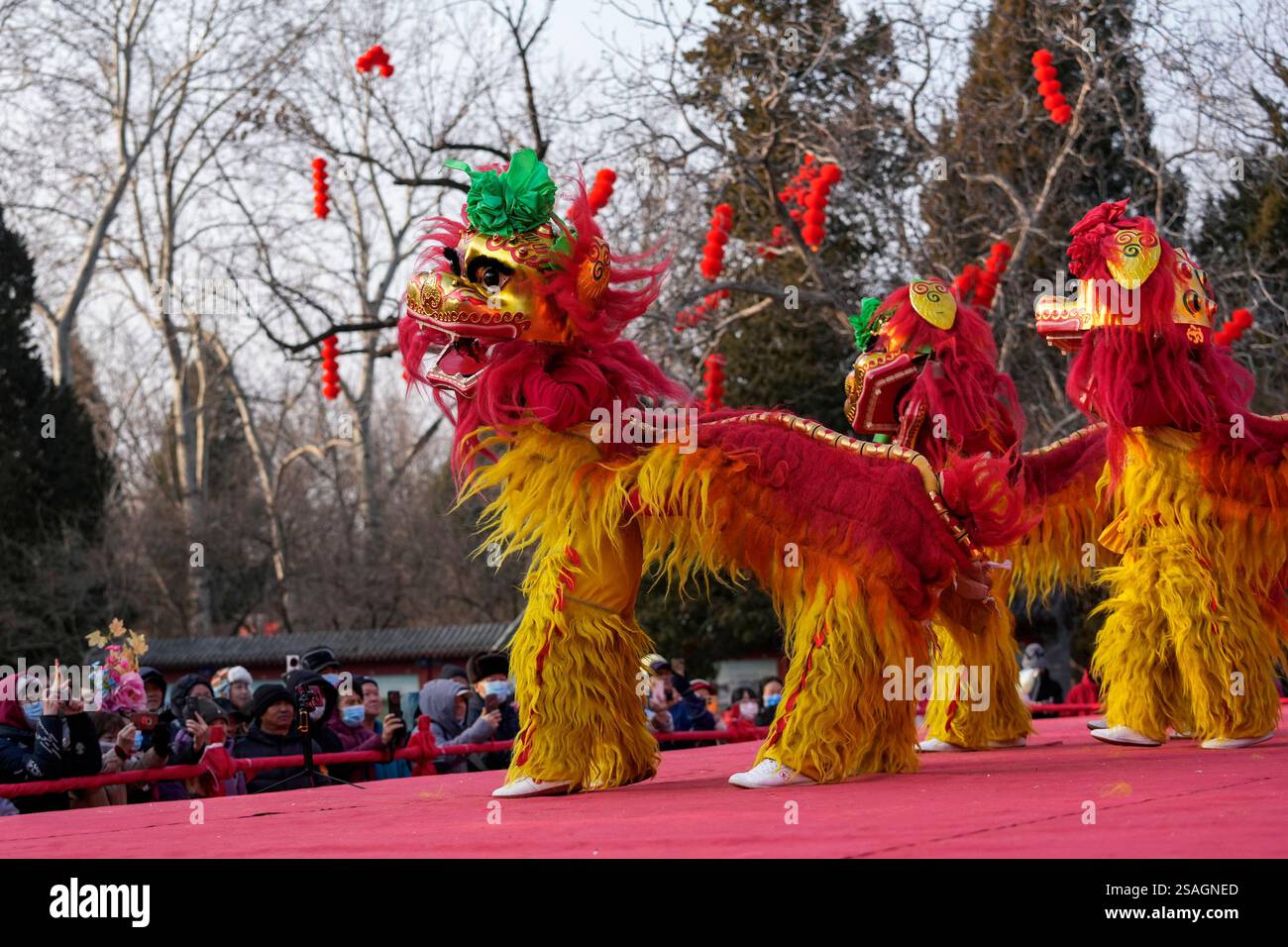 Chinese lion dancers perform at the Longtan Park Temple Fair on the ...