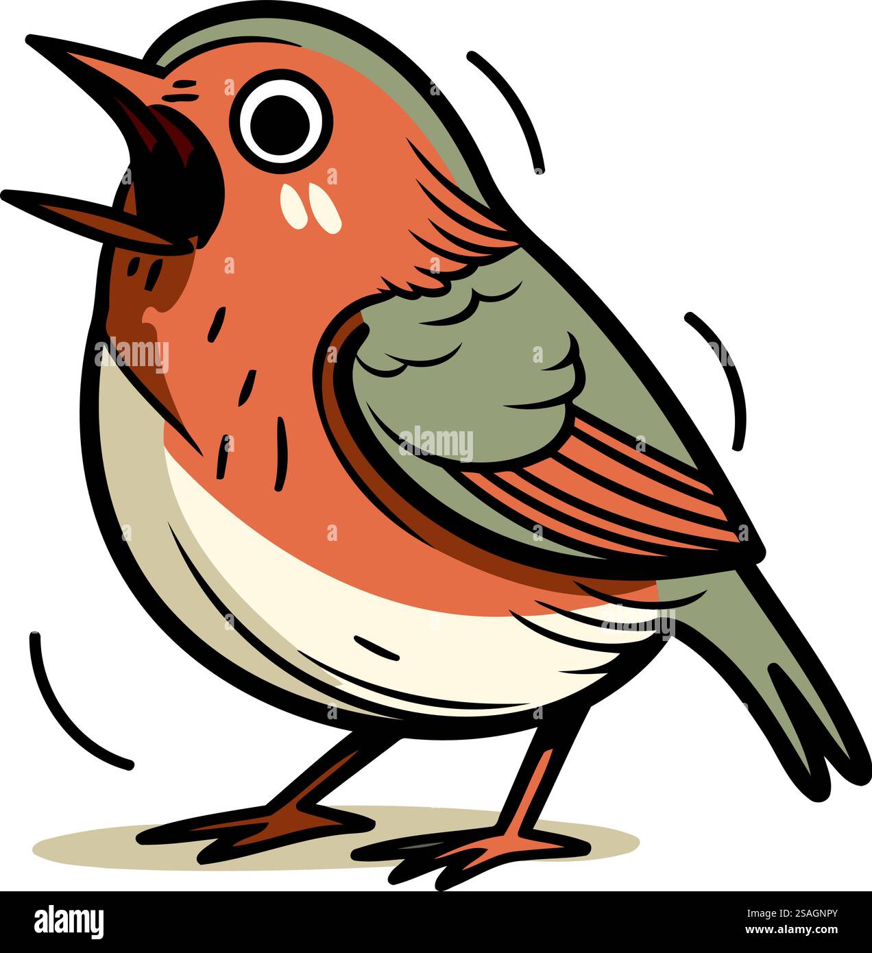 Robin bird. Vector illustration of a bird on a white background Stock ...