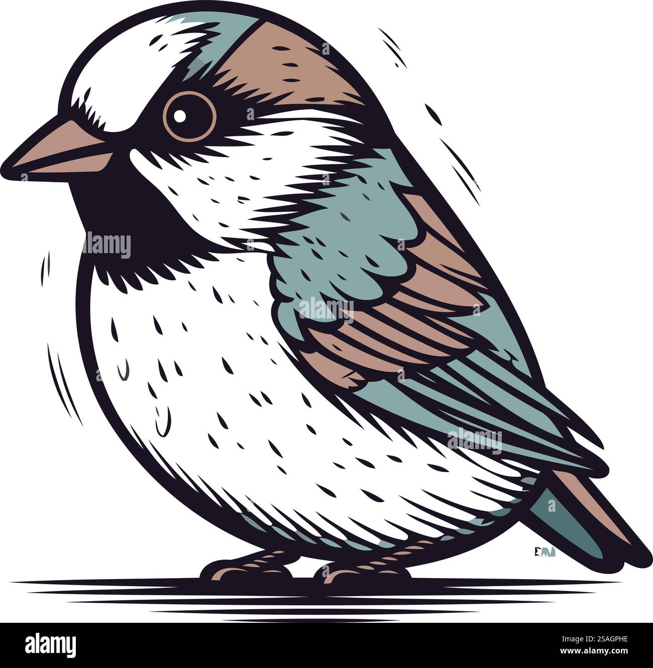 Titmouse bird isolated on white background. Vector illustration for ...