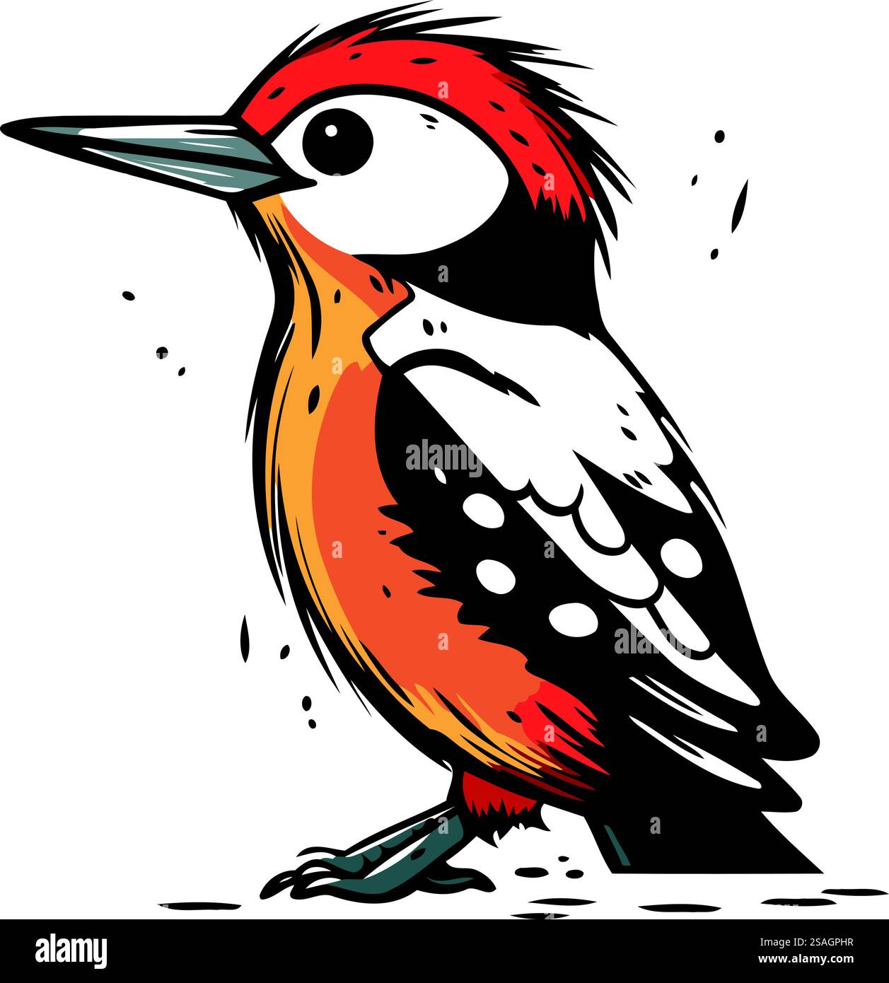 Woodpecker isolated on white background. Hand drawn vector illustration ...