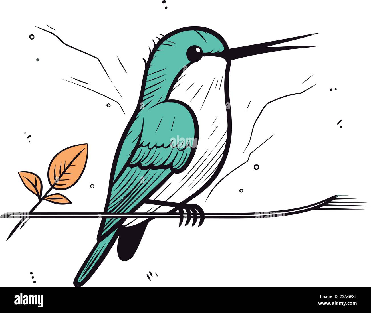 Hummingbird sitting on a branch. Hand drawn vector illustration Stock ...