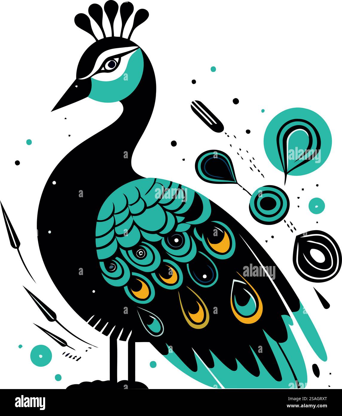 Peacock. Vector illustration in flat style on white background Stock ...