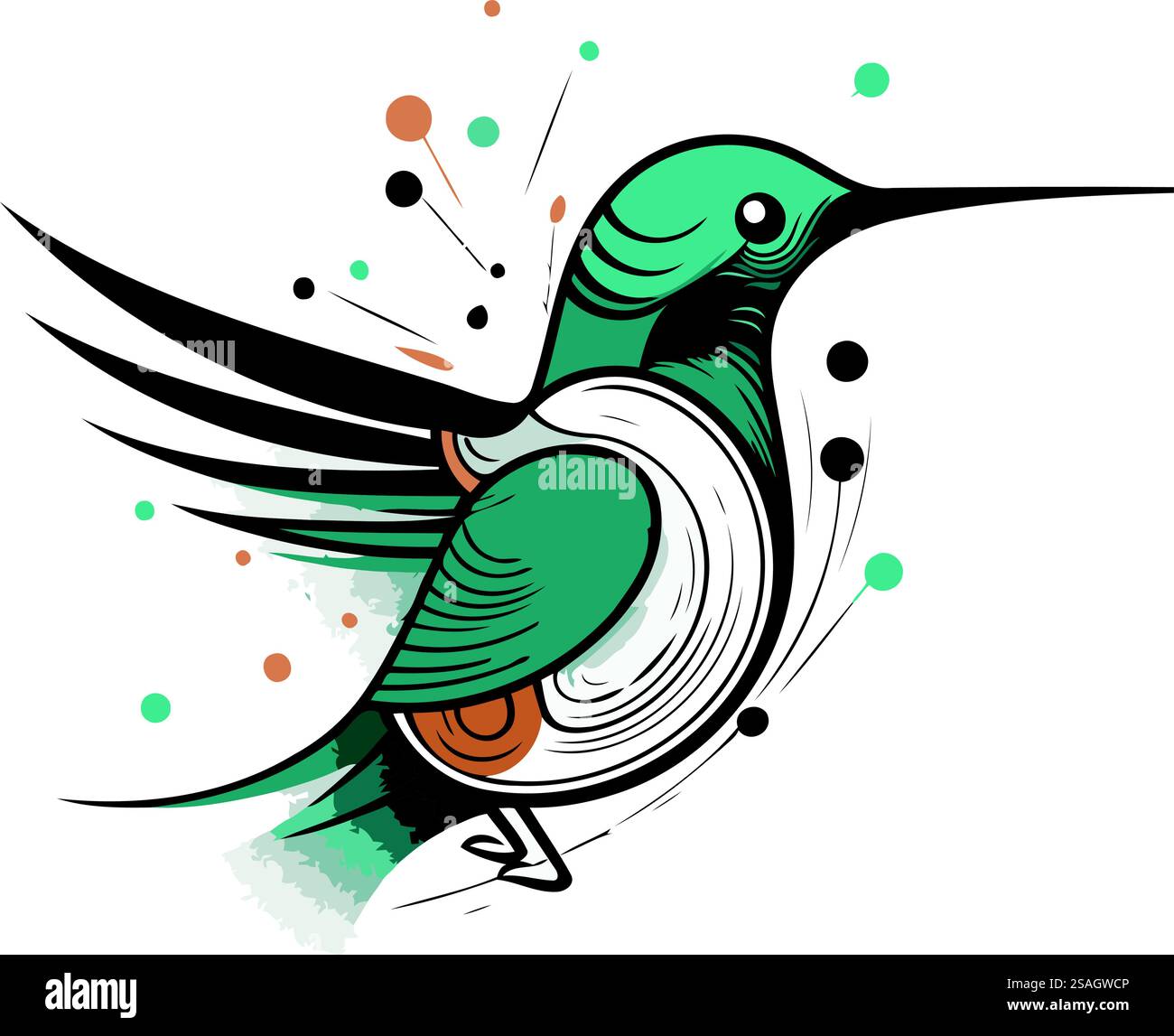 Hummingbird vector illustration. clipart. Hummingbird in cartoon style ...