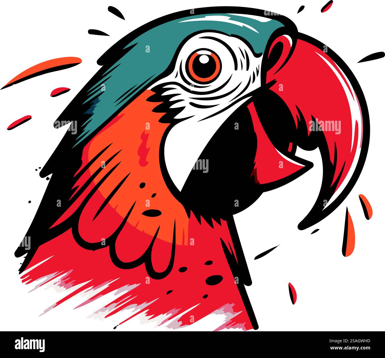 Colorful parrot head vector illustration isolated on white background ...