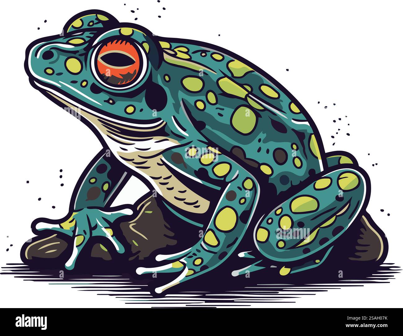 Frog. Hand drawn vector illustration. Isolated on white background ...