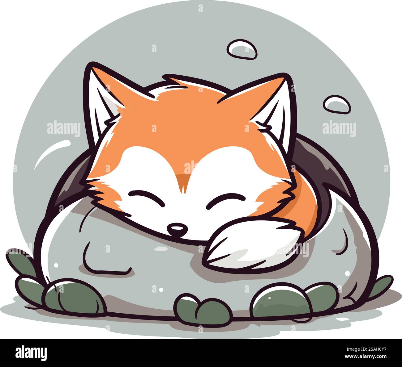 Rock of the fox Cut Out Stock Images & Pictures - Alamy