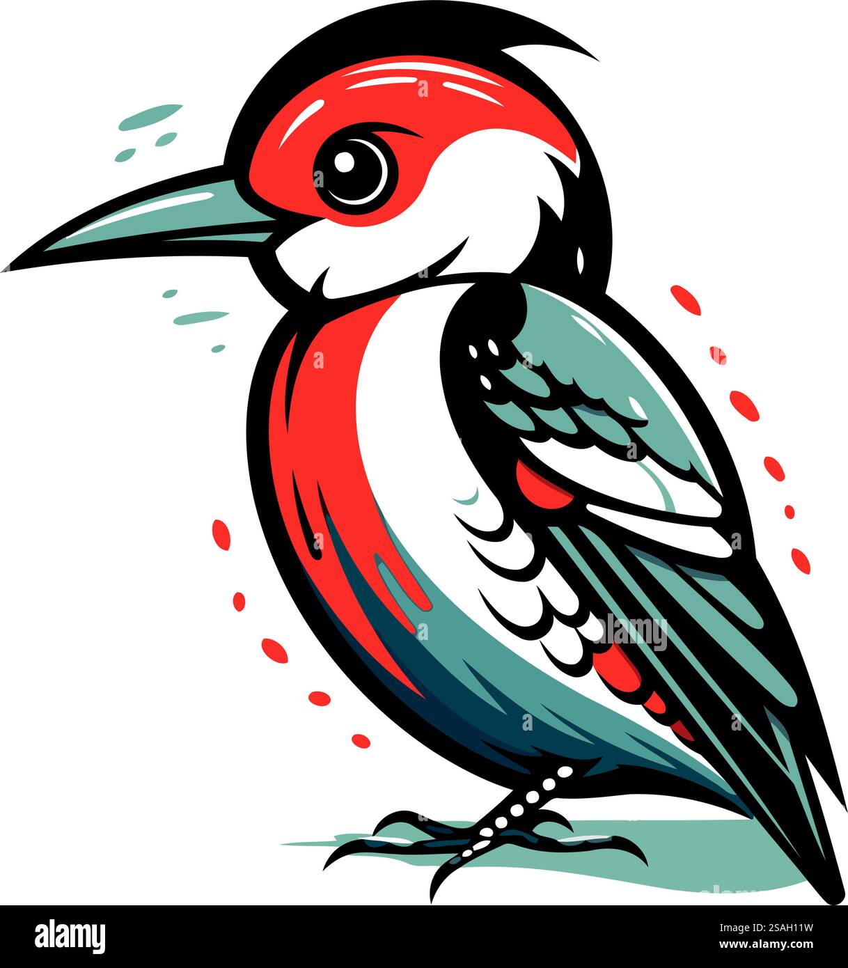 Vector image of a red backed woodpecker on a white background Stock ...