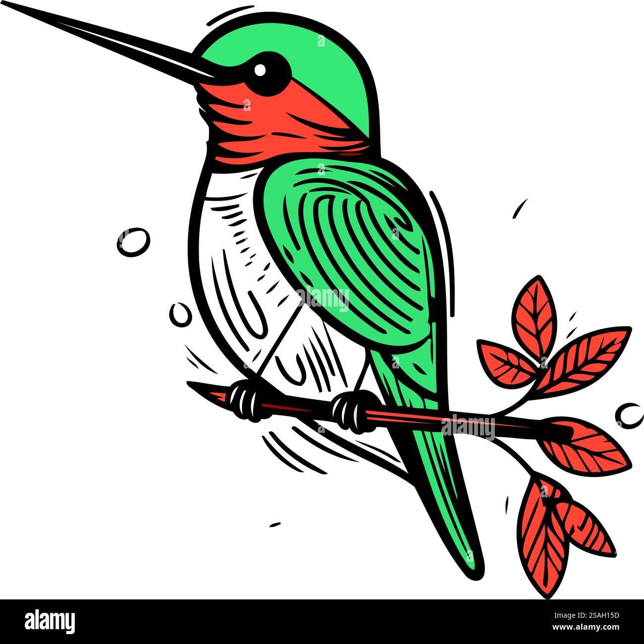 Cute hummingbird sitting on a branch with leaves. Vector illustration ...