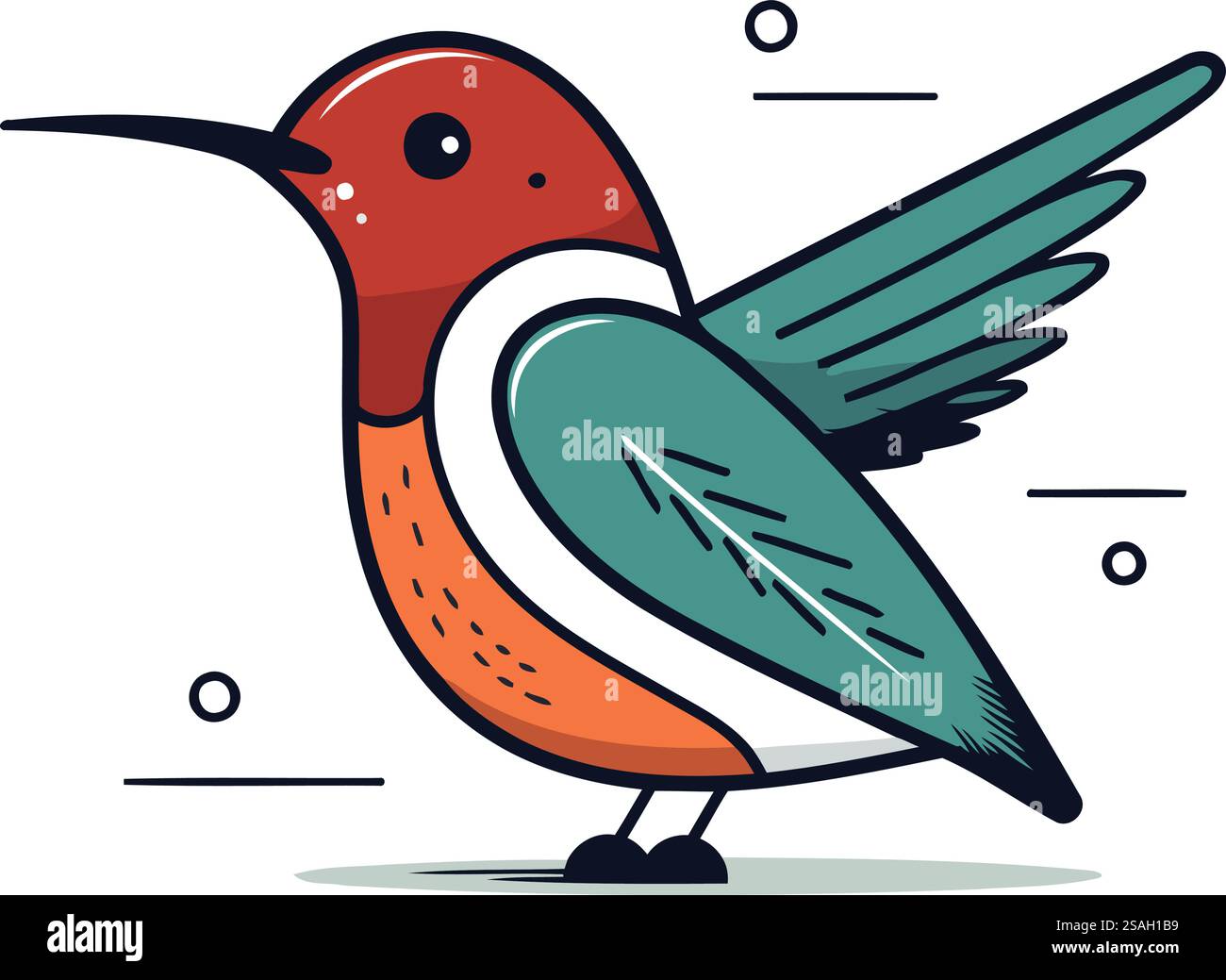 Hummingbird illustration. Flat line art style design. Vector ...