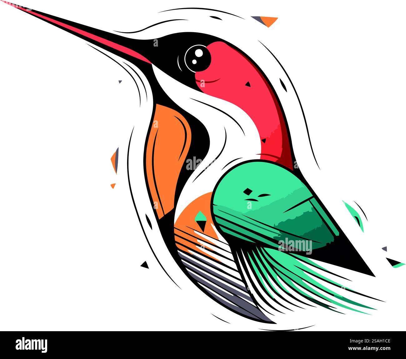 Red crowned Kingfisher bird. vector illustration Stock Vector Image ...