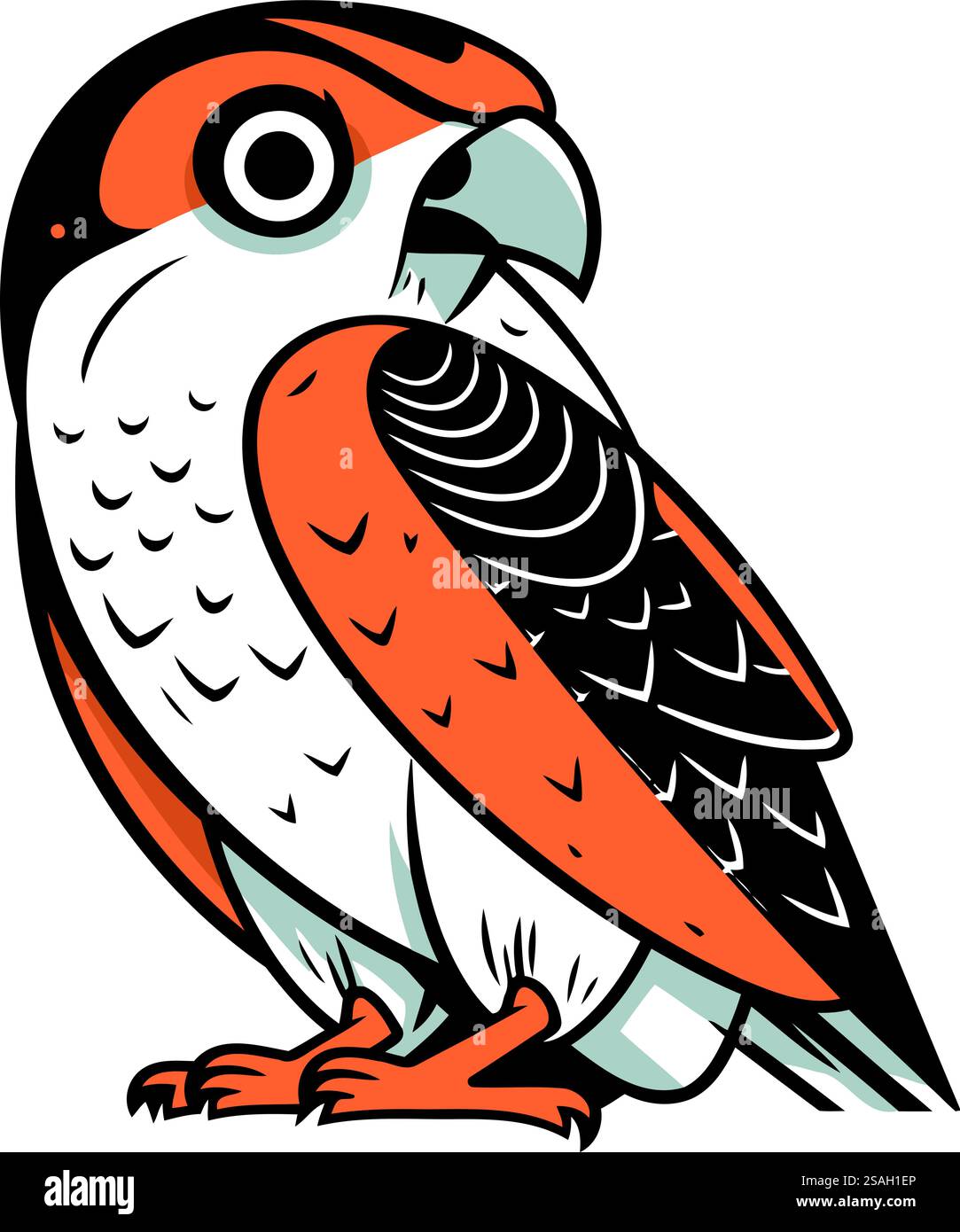 Colorful vector illustration of a red winged kestrel Stock Vector Image ...