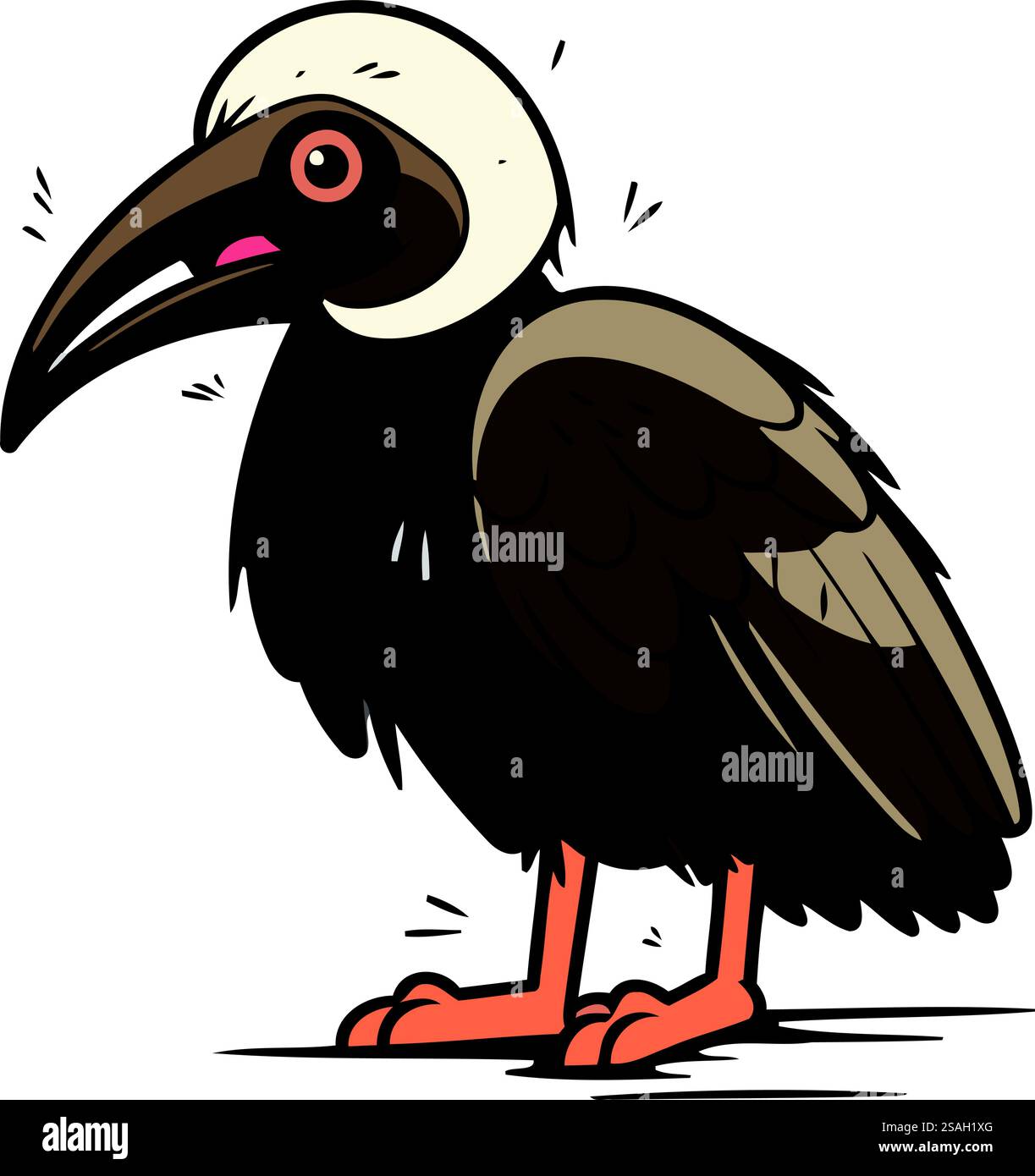 Hornbill vector illustration isolated on white background. Cartoon ...