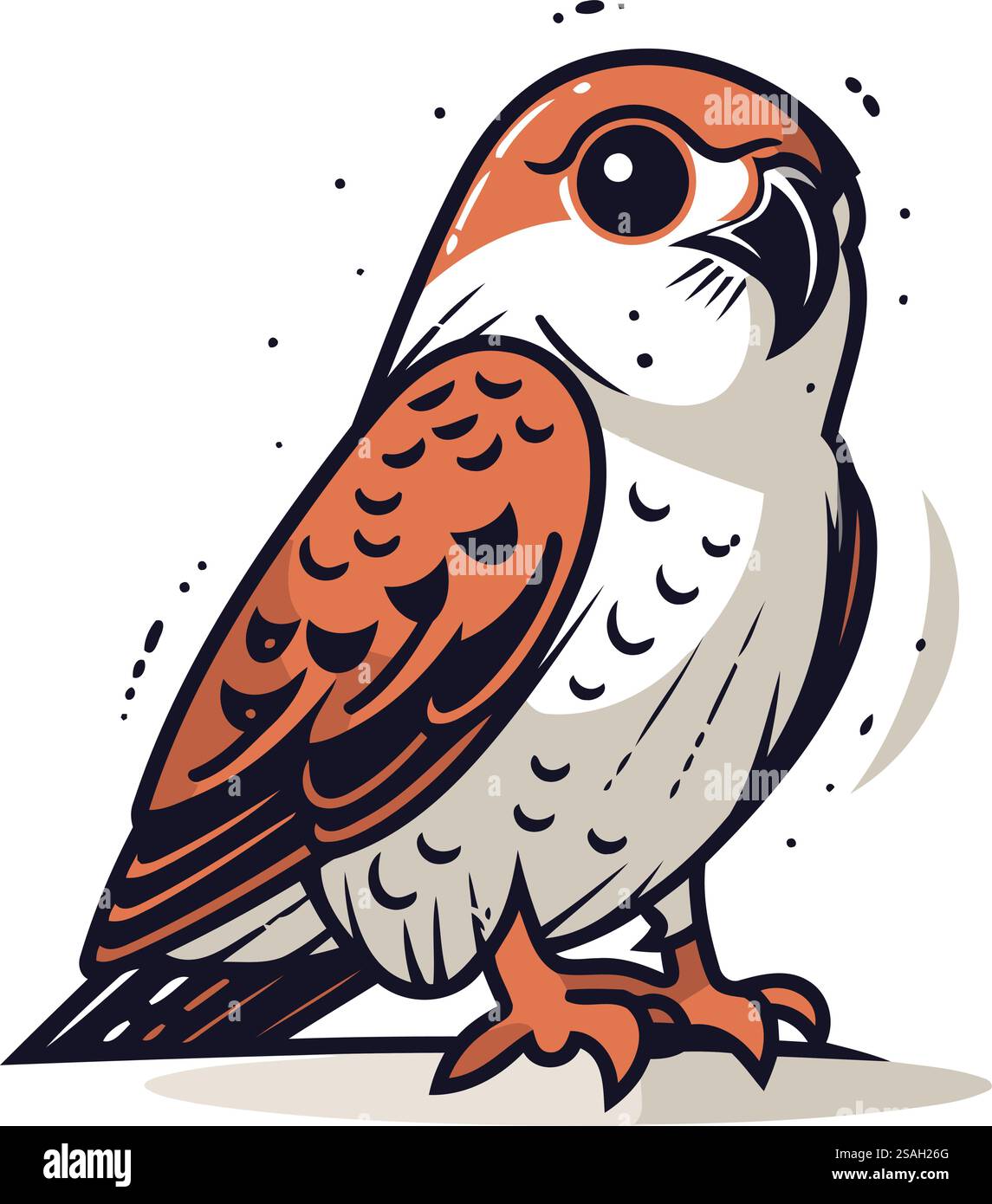 Vector illustration of a cute kestrel on a white background Stock ...