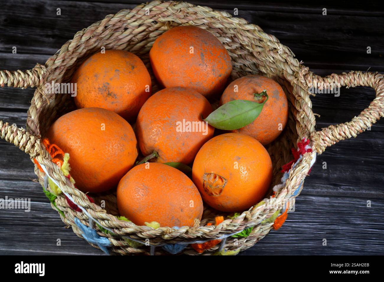 navel oranges, The navel orange is a variety of orange with a ...
