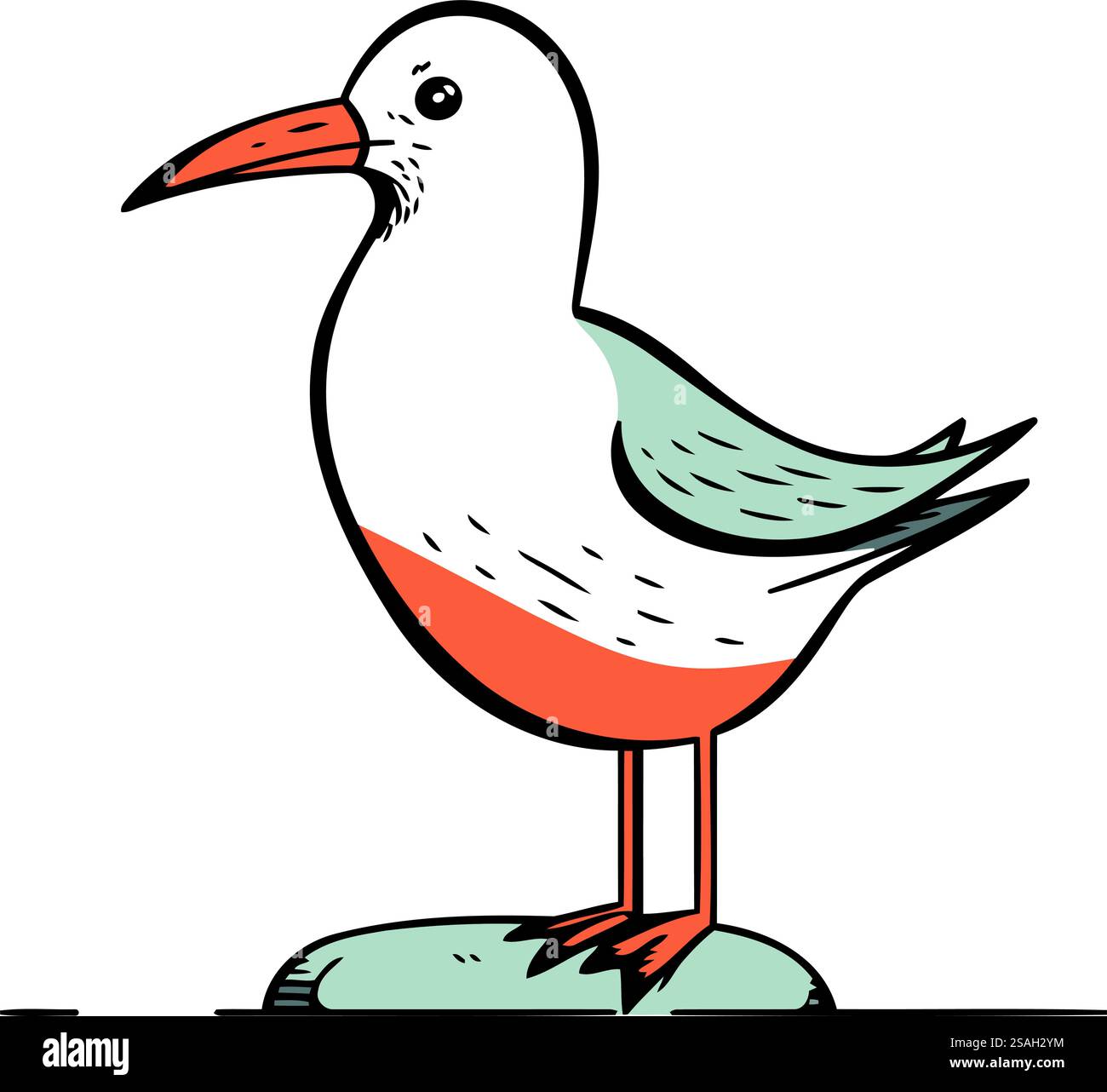 Seagull. Vector illustration. Isolated on white background Stock Vector ...