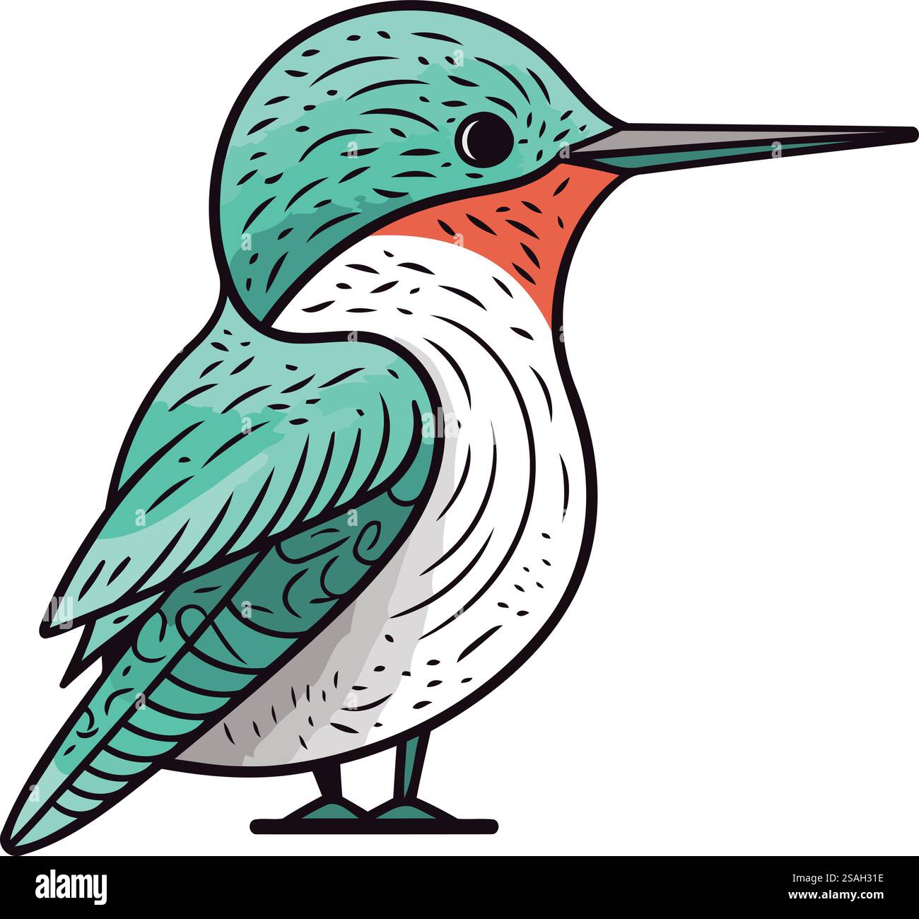 Red throated kingfisher. Vector illustration on white background Stock ...