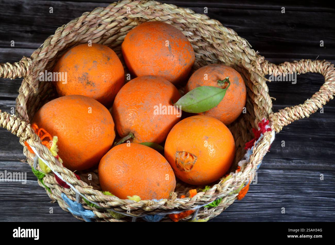 navel oranges, The navel orange is a variety of orange with a ...