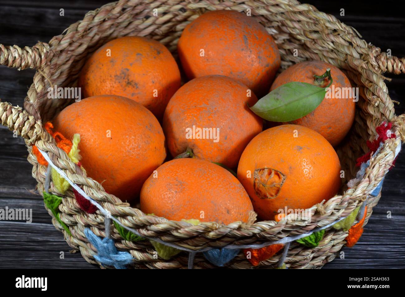 navel oranges, The navel orange is a variety of orange with a ...