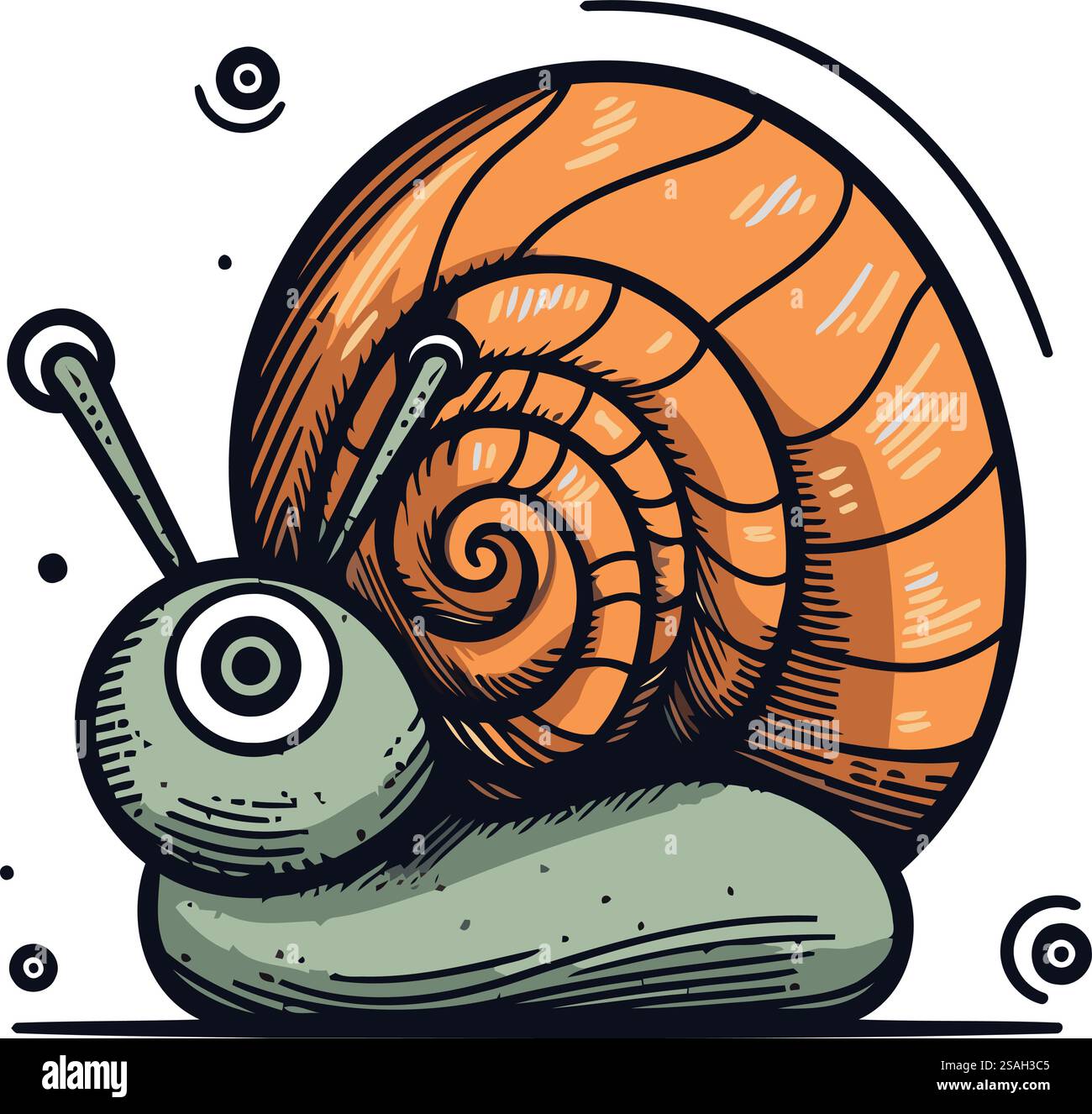 Snail. Hand drawn vector illustration. Isolated on white background ...