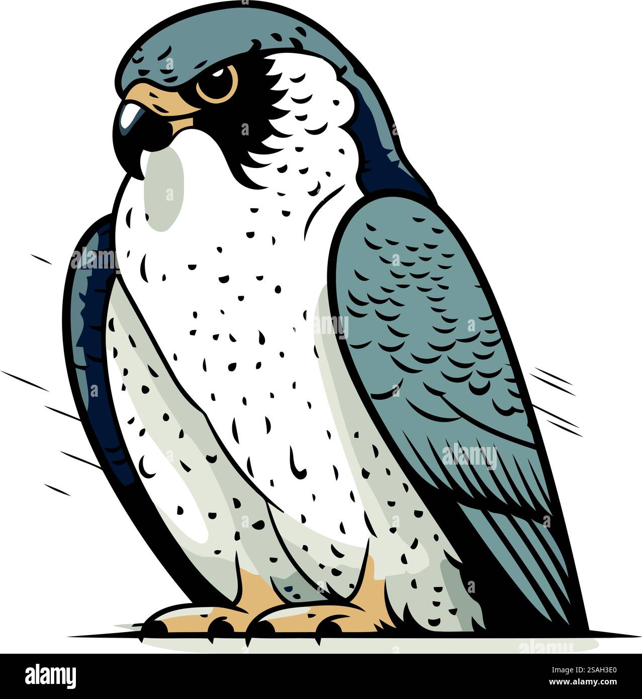 Peregrine falcon. Vector illustration on white background Stock Vector ...