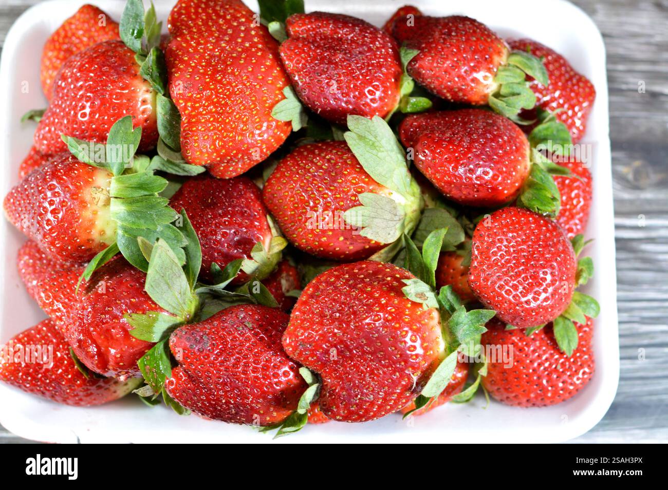 Strawberry fruit, a widely grown hybrid species of the genus Fragaria ...