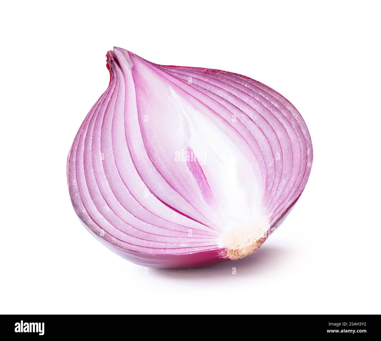 Front view of big red or purple onion bulb in half is isolated on white ...