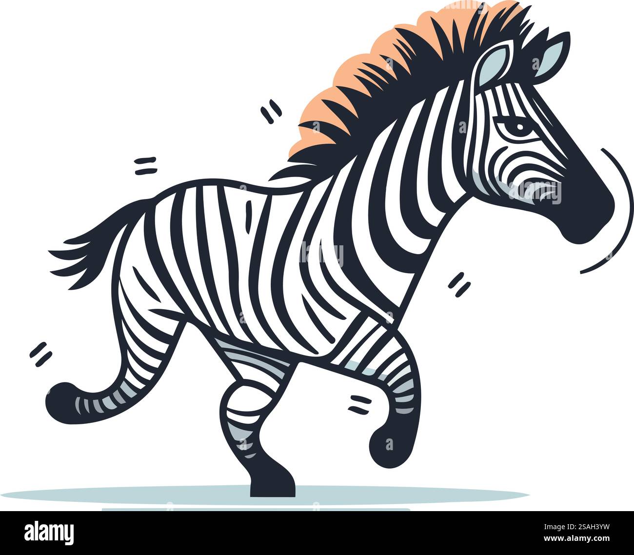 Zebra vector illustration. Hand drawn zebra isolated on white ...