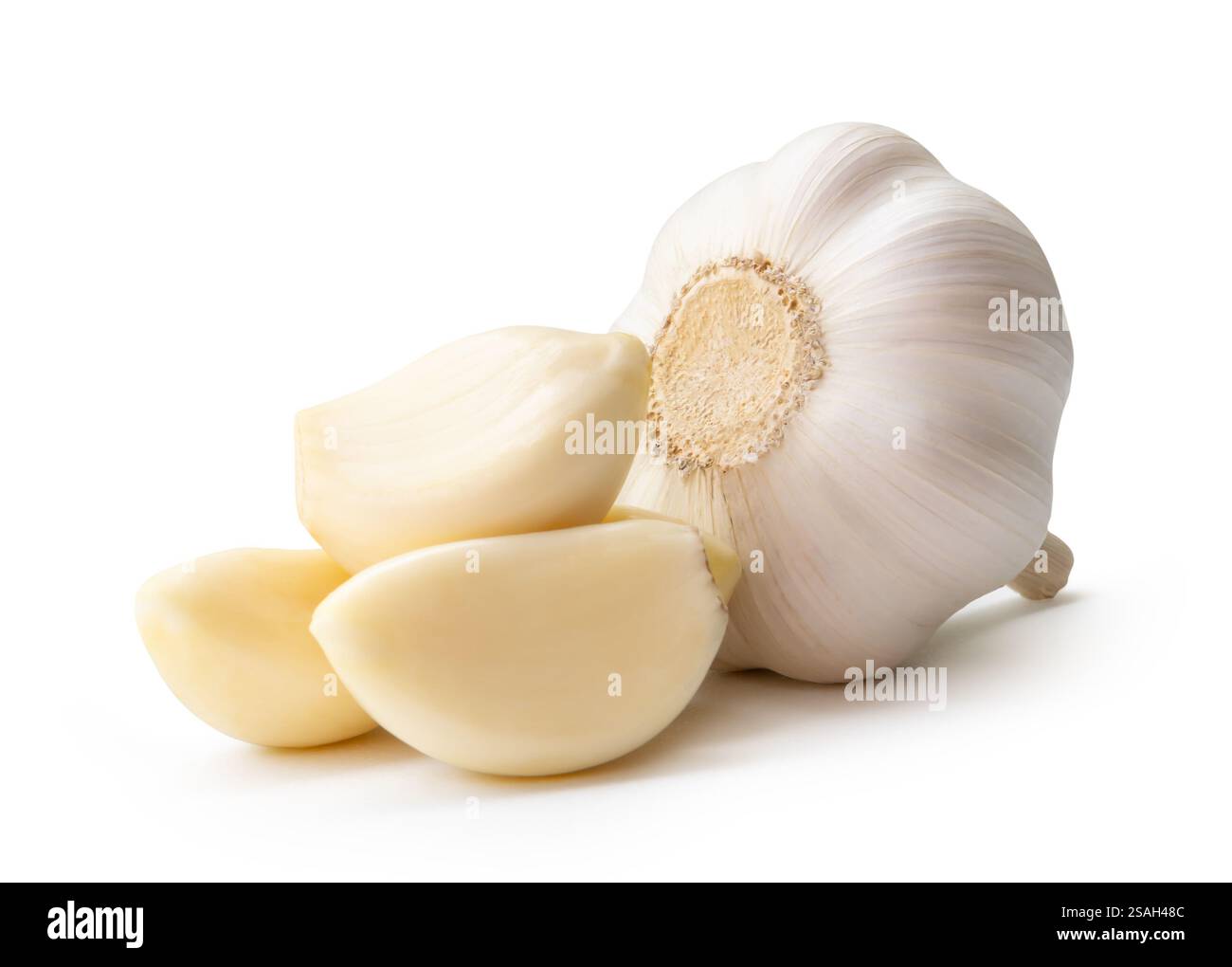 Side view of fresh white garlic bulbs with peeled garlic clove or ...