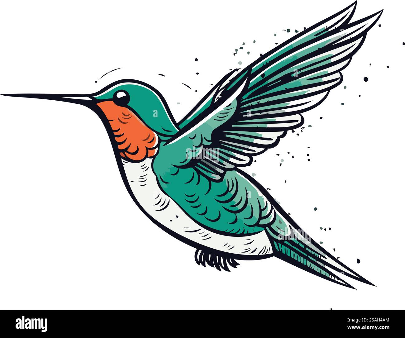 Hummingbird vector illustration. Hummingbird with wings spread Stock ...