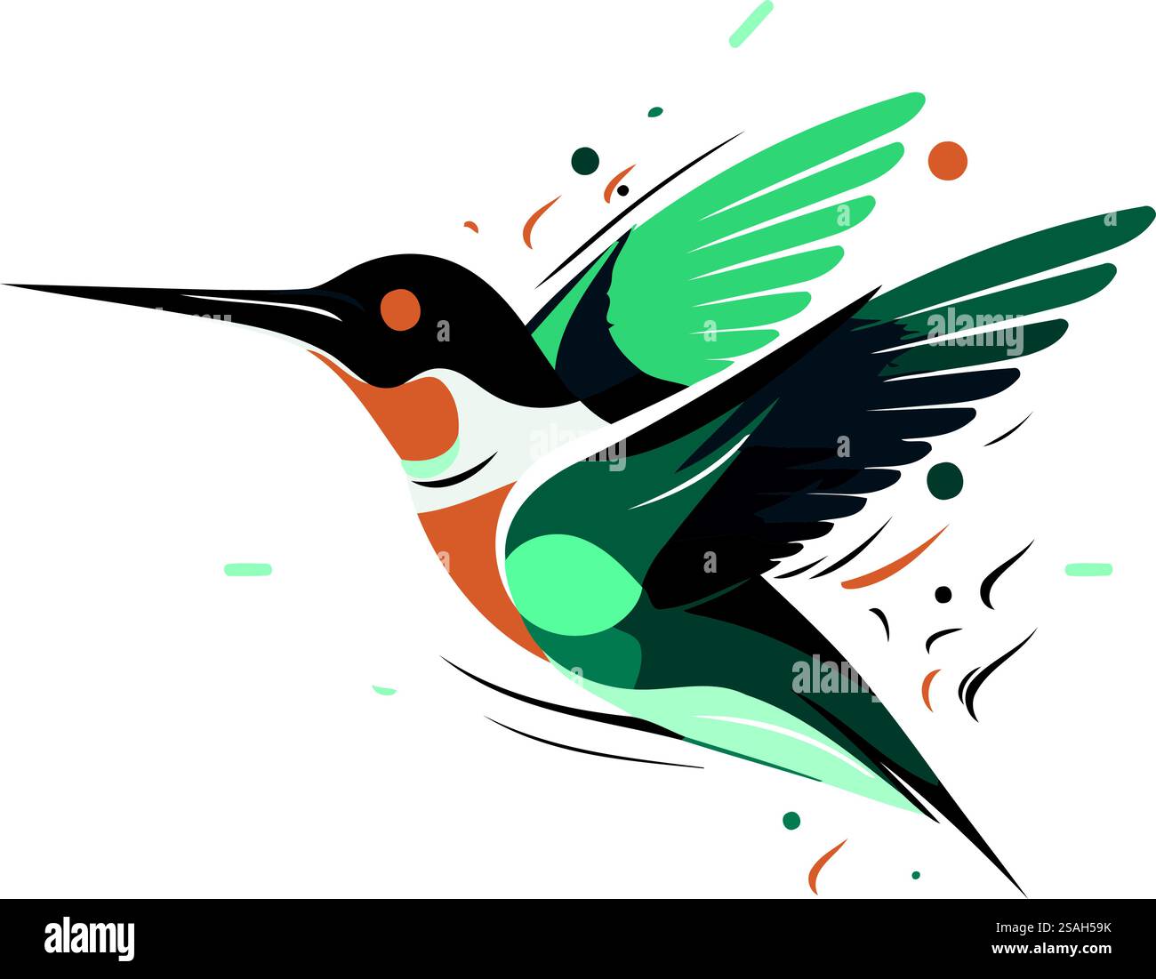vector illustration of a flying kingfisher bird on a white background ...