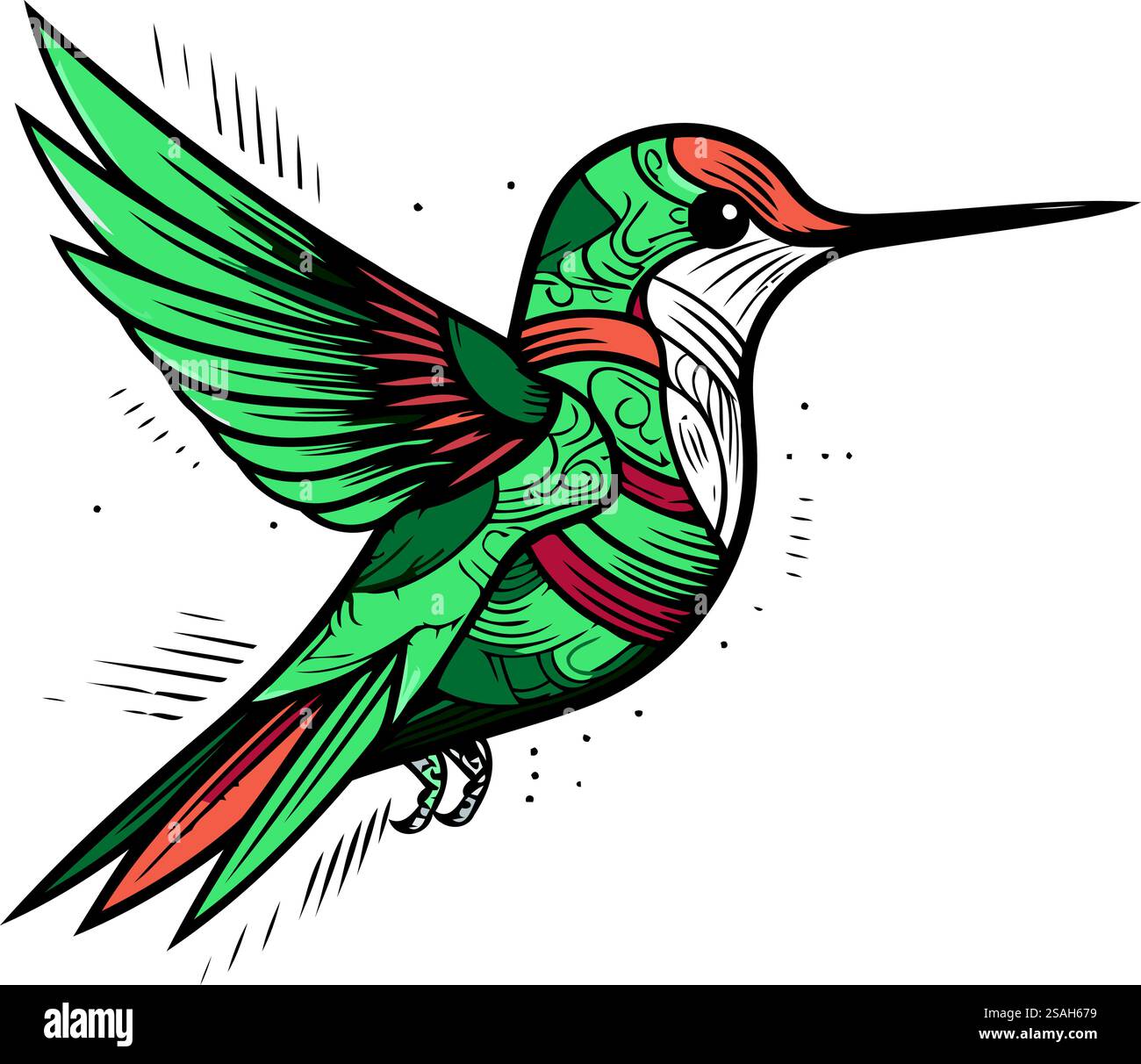 Hummingbird hand drawn vector illustration. Isolated on white ...