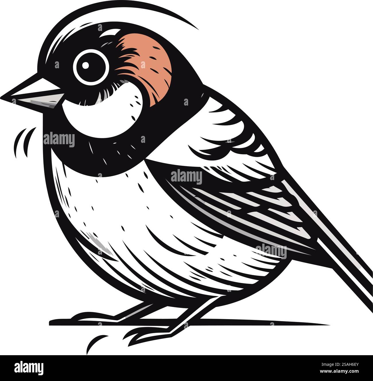 Bullfinch. bullfinch. black and white vector illustration Stock Vector ...