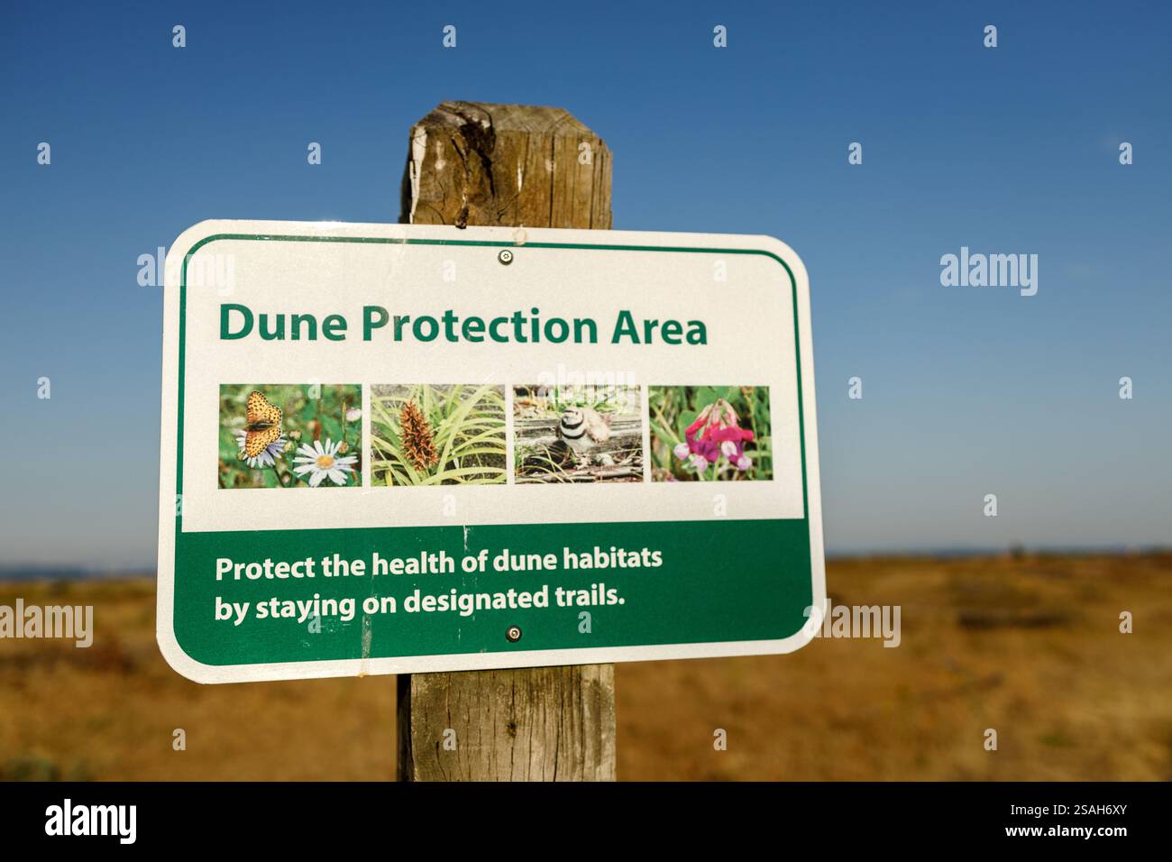 Dune Protection Area sign displaying wildlife photos and conservation ...
