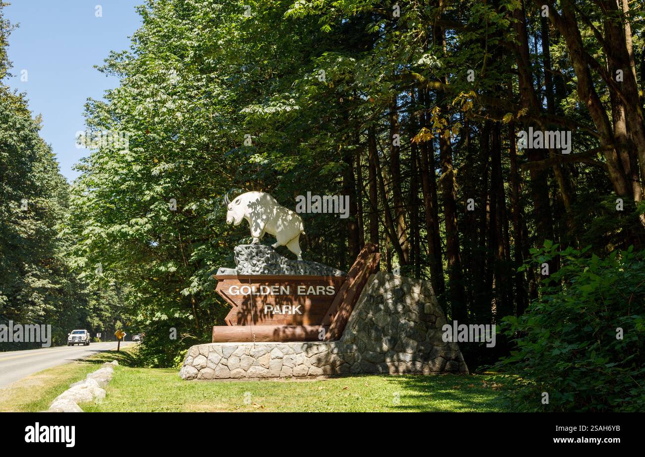 Golden Ears Park entrance sign featuring mountain goat sculpture on ...