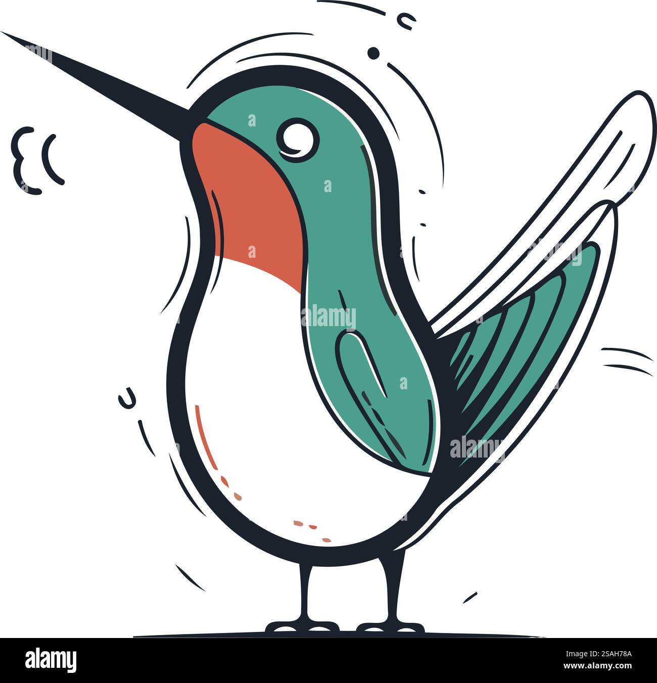 Hummingbird vector illustration. Hand drawn doodle bird Stock Vector ...