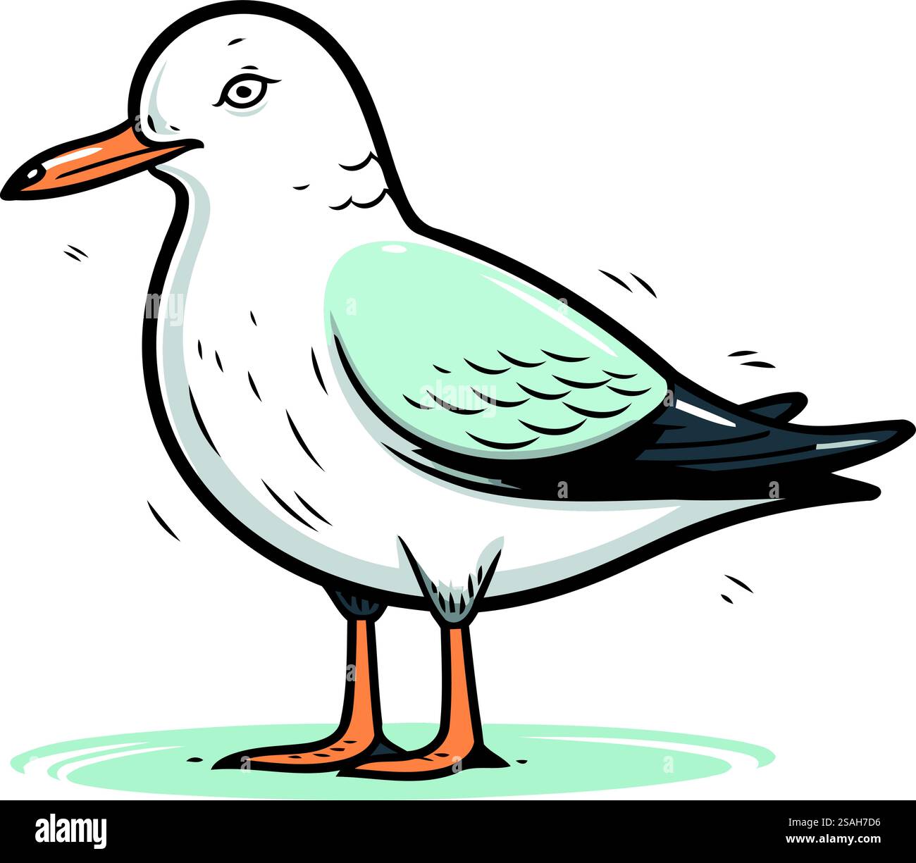 Seagull. Vector illustration of a seagull on a white background Stock ...