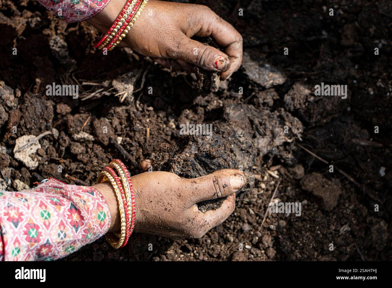 Vegetable farming in dang hi-res stock photography and images - Alamy