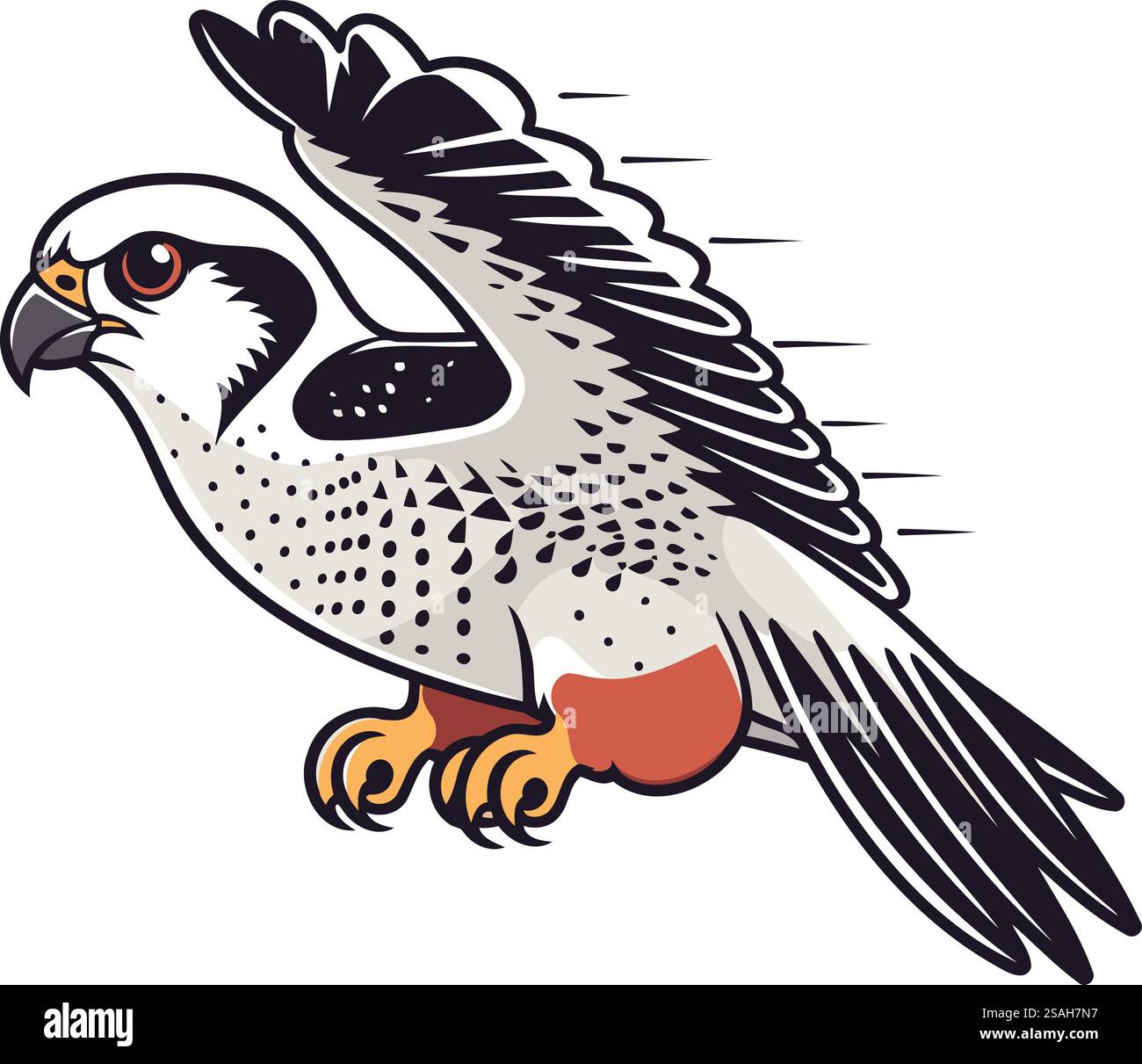 Falcon. Vector illustration of a falcon. Bird of prey Stock Vector ...